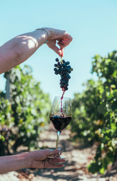 Top Trumps: The Chilled Red Wine Edit - Wilderness Festival