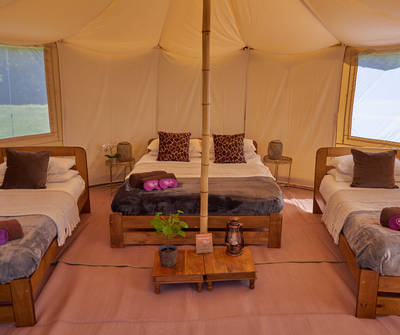Deluxe Canvas Yurt - Wilderness Festival
